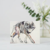 Wolf Postcard | Zazzle