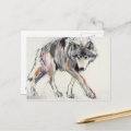 Wolf Postcard | Zazzle