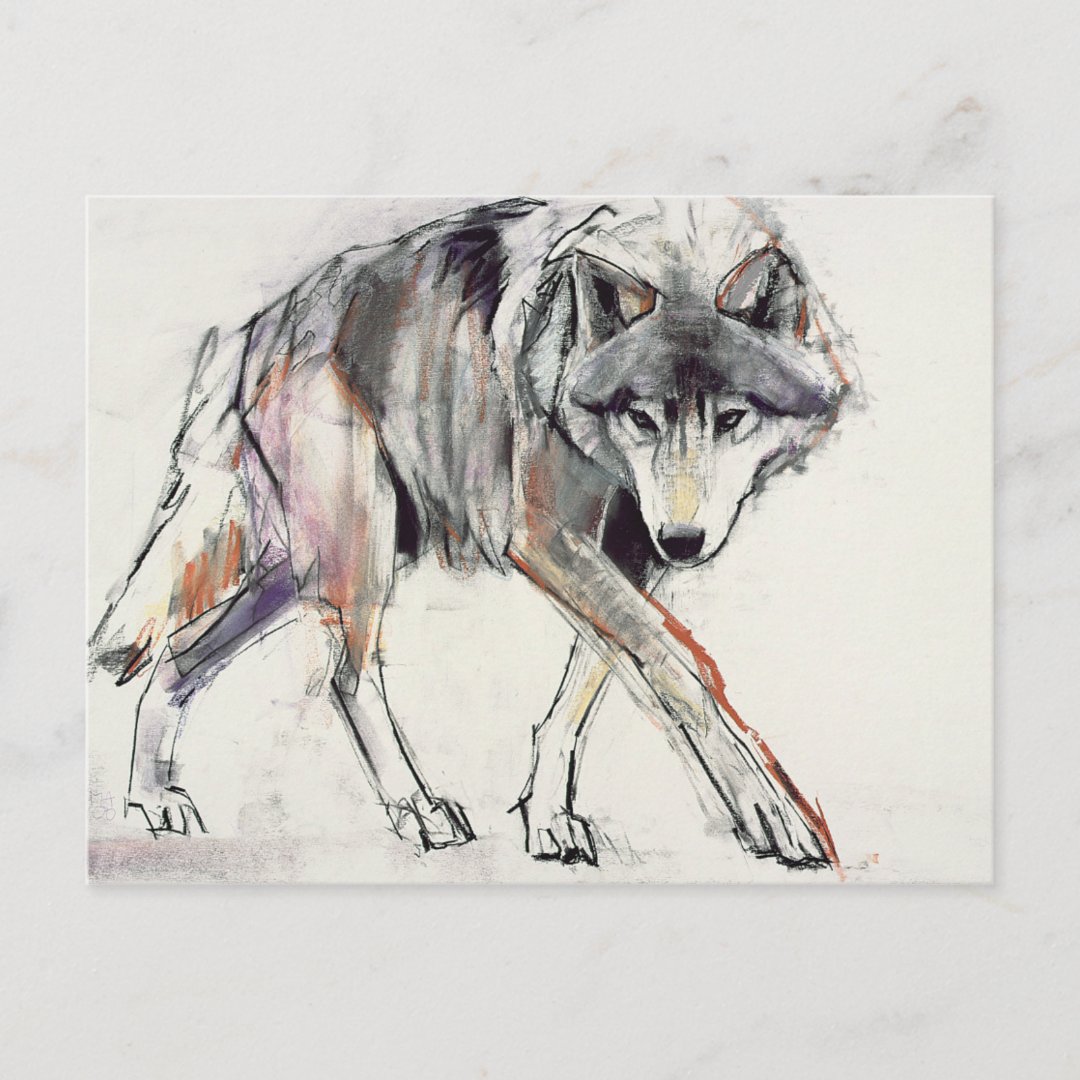 Wolf Postcard | Zazzle