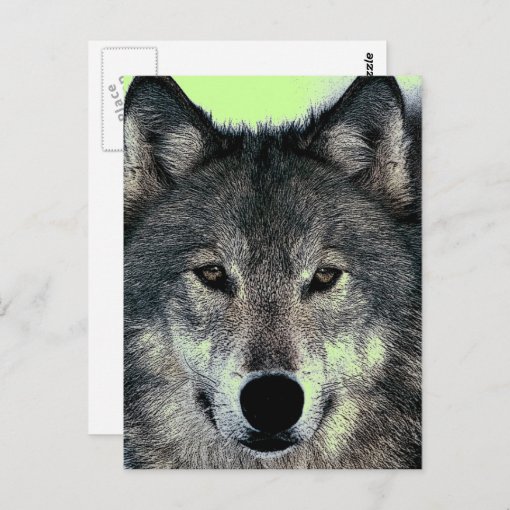 Wolf Postcard | Zazzle