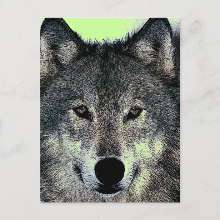Wolf Postcard | Zazzle.com