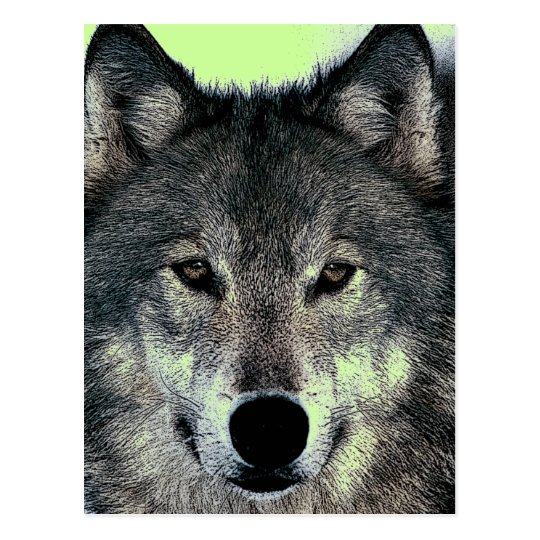 Wolf Postcard | Zazzle.com