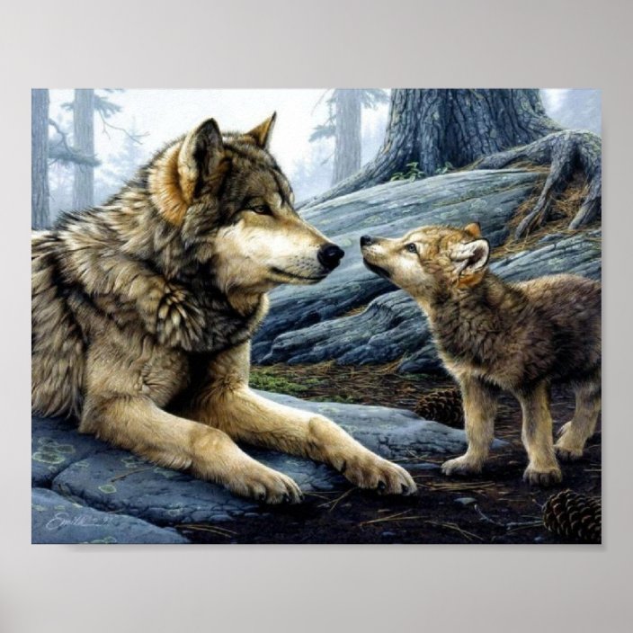 Wolf Poster | Zazzle.com