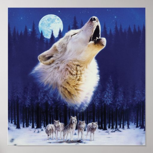 Wolf Poster | Zazzle
