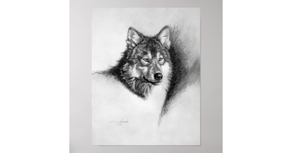 wolf print | Zazzle