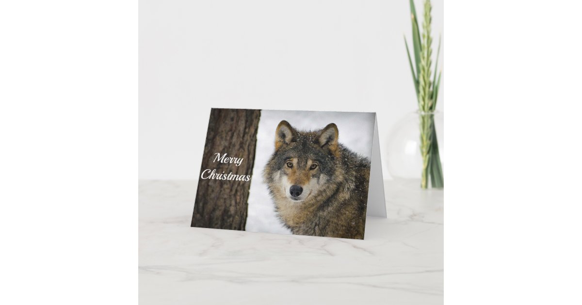 Wolf Snow Tree Photo Christmas Holiday Card | Zazzle