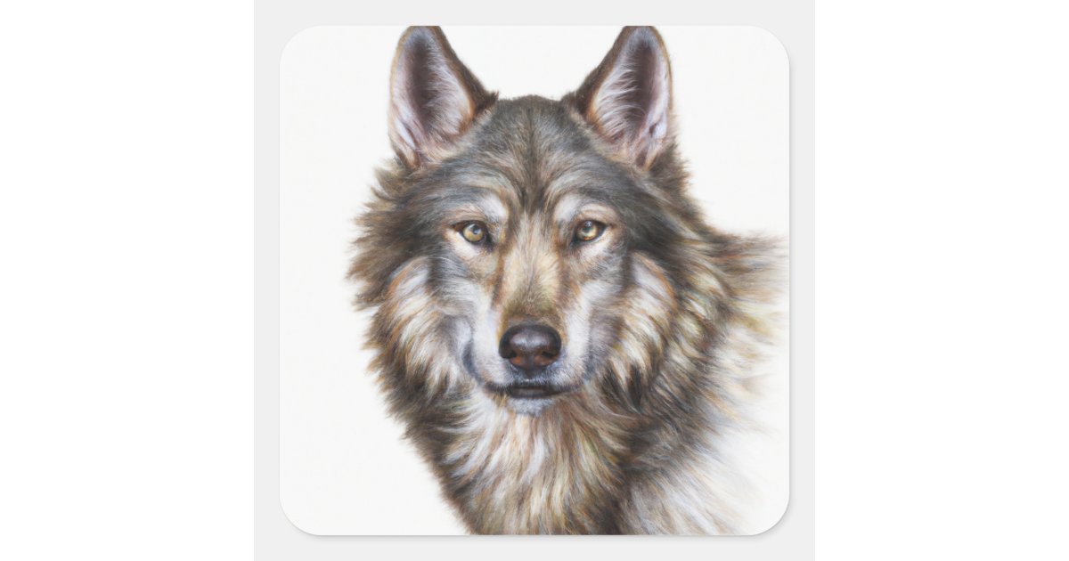 Wolf Square Sticker | Zazzle