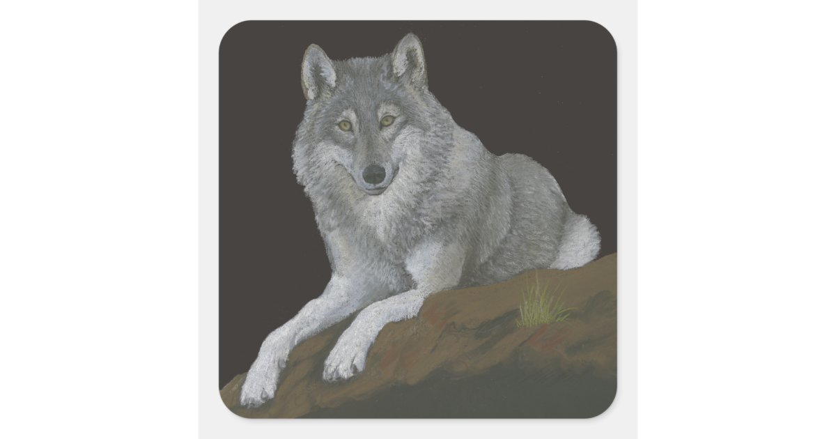 Wolf Square Sticker | Zazzle