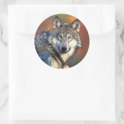 Wolf Staring Sticker | Zazzle