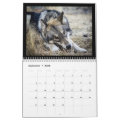 Wolf Wall Calendar | Zazzle