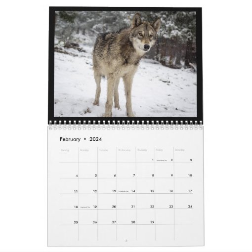 Wolf Wall Calendar | Zazzle
