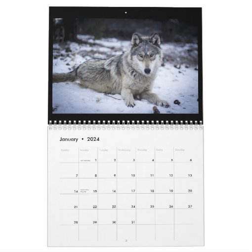 Wolf Wall Calendar | Zazzle