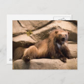 Wolverine Postcard | Zazzle