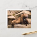 Wolverine Postcard | Zazzle