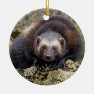 Wolverine | Zazzle