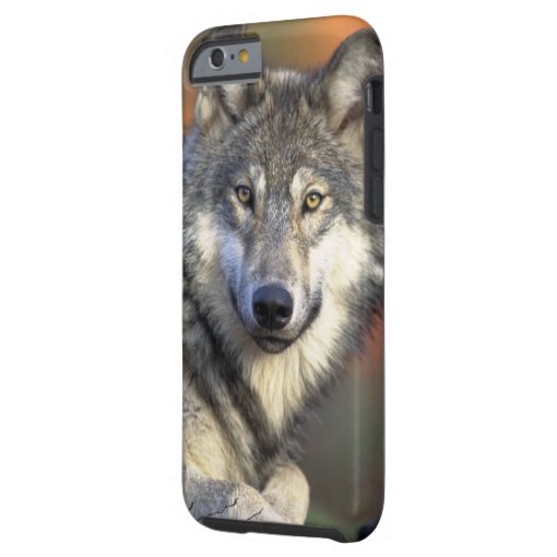 Wolves Case-Mate iPhone Case | Zazzle