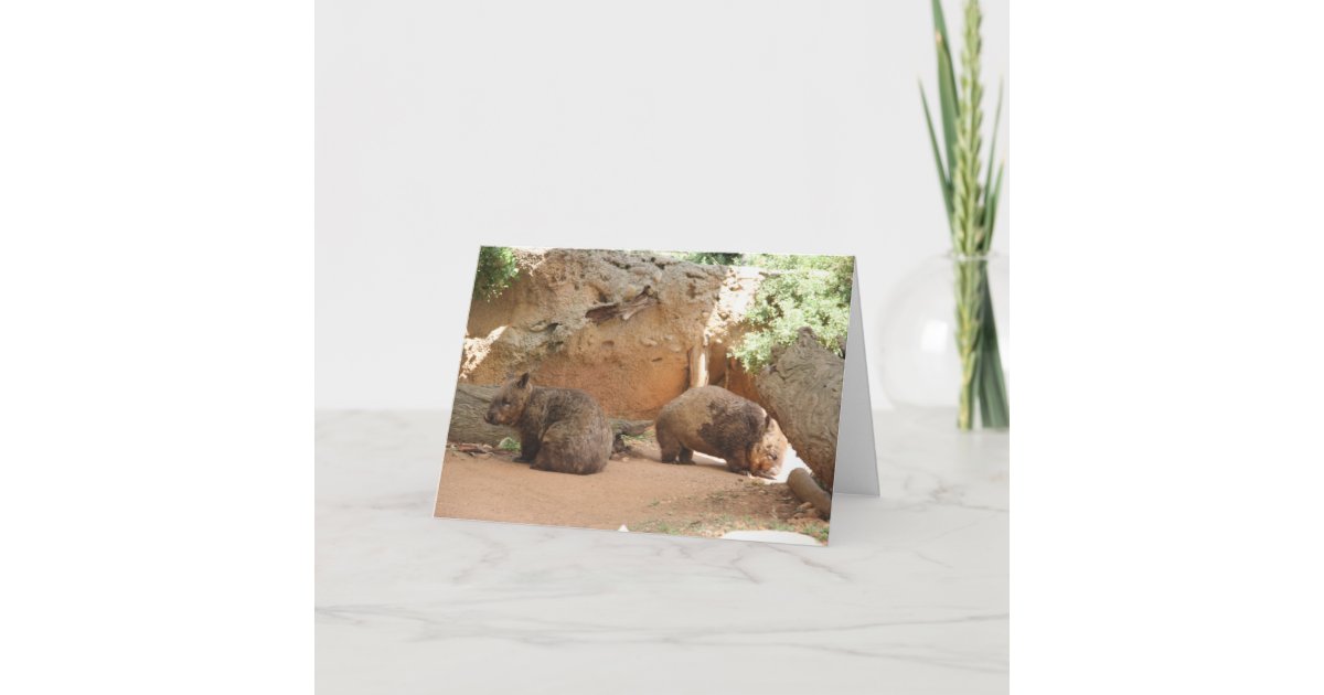 Wombat Heaven Card | Zazzle