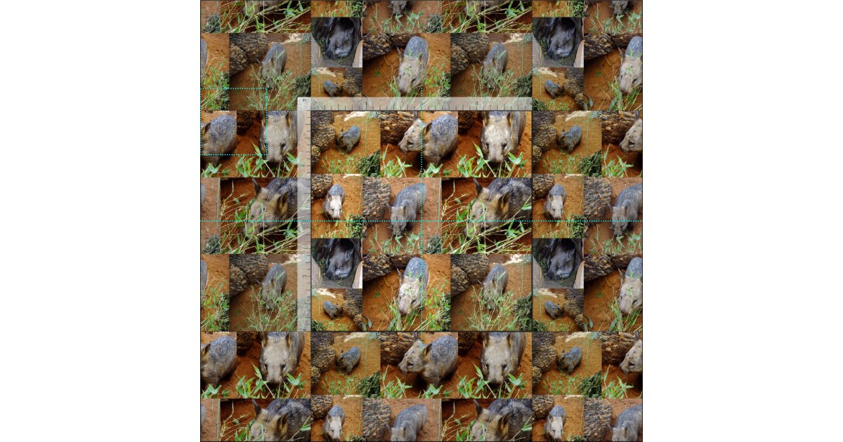 Wombat Photo Collage, Fabric | Zazzle
