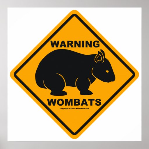 Wombat Warning Sign Poster | Zazzle
