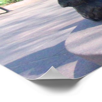 Women's Vietnam War Memorial Poster | Zazzle