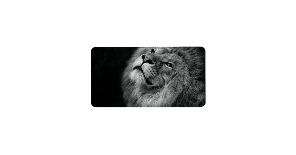 Wonderful Lion Label | Zazzle