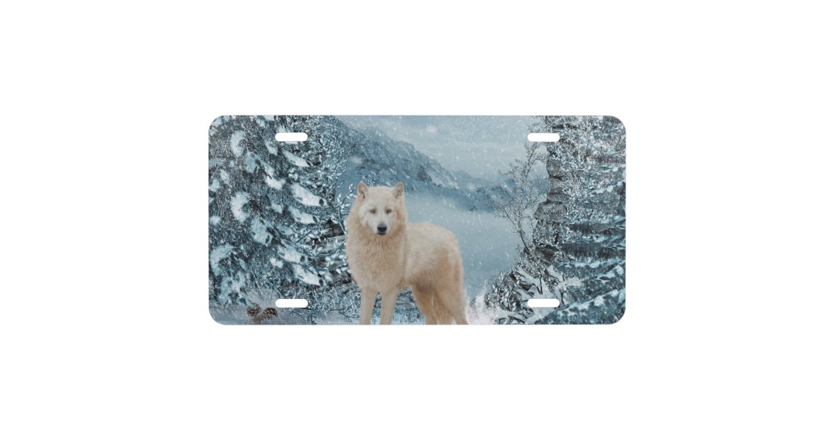 Wonderful white wolf license plate | Zazzle