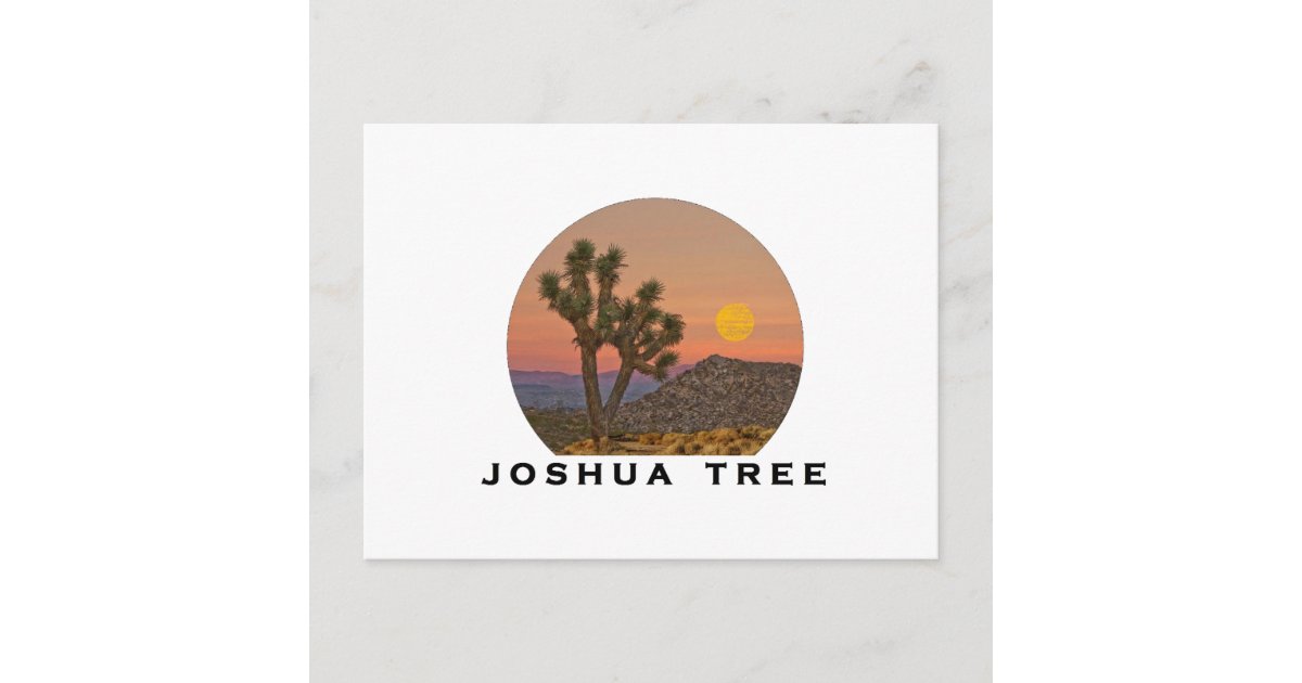 WONDEROUS JOSHUA TREE POSTCARD | Zazzle