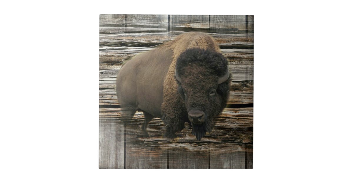 Wood Bison Ceramic Tile | Zazzle