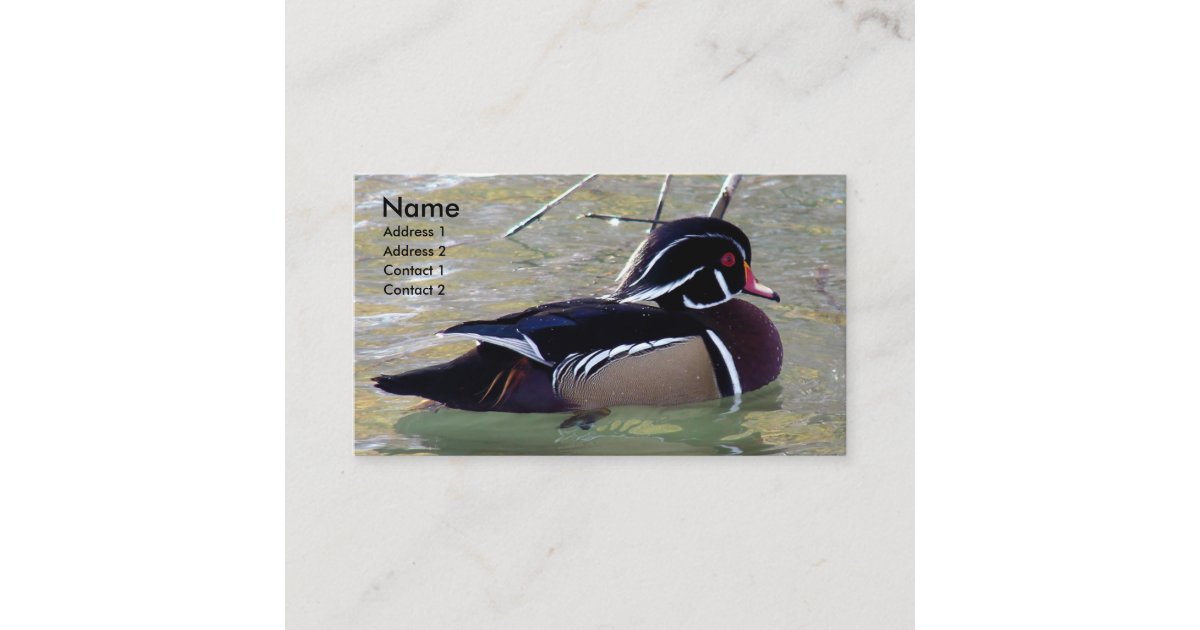 Wood Duck Drake Business Card | Zazzle