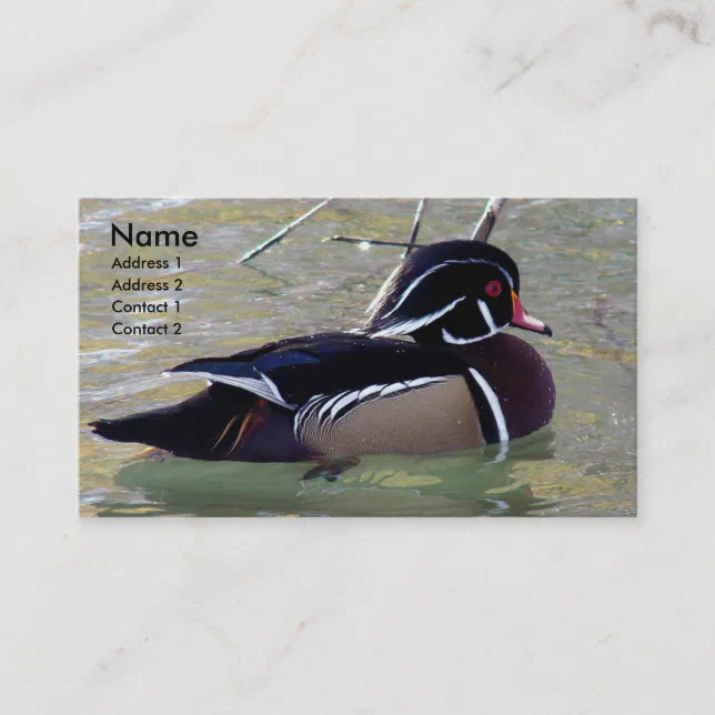 Wood Duck Drake Business Card | Zazzle