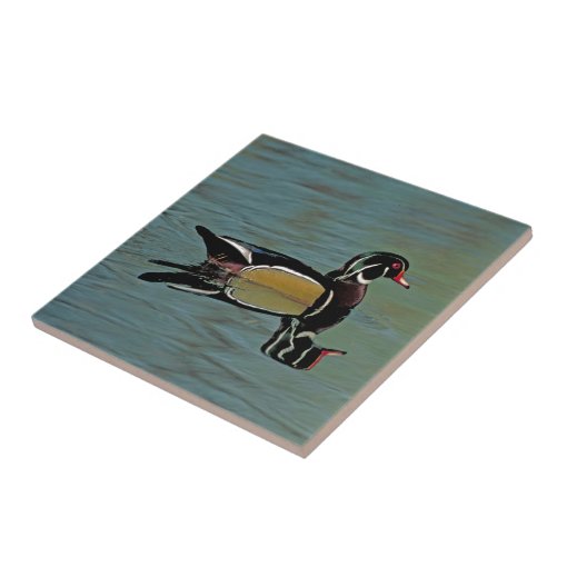 Wood Duck Photo Ceramic Tile | Zazzle