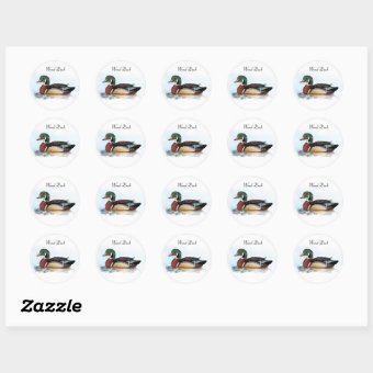 Wood Duck Sticker | Zazzle