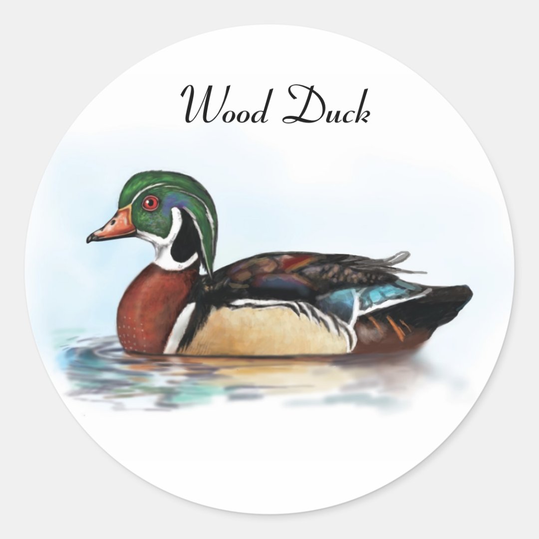 Wood Duck Sticker | Zazzle