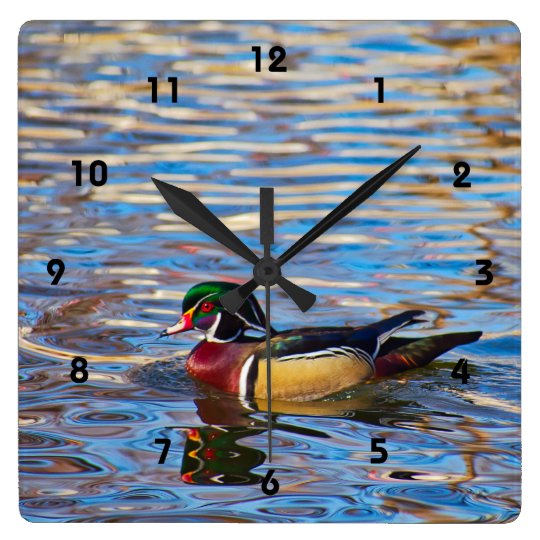 Wood Duck Wall Clock | Zazzle.com