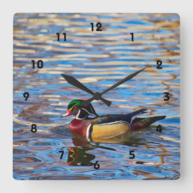 Wood Duck Wall Clock | Zazzle