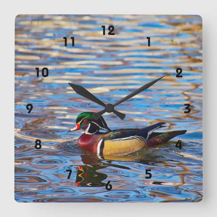 Wood Duck Wall Clock | Zazzle
