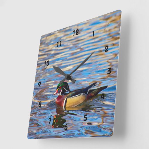 Wood Duck Wall Clock | Zazzle