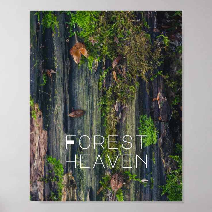 Wood life poster | Zazzle