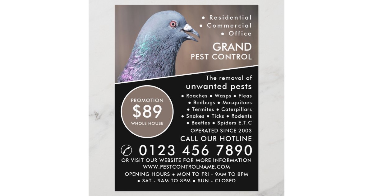 Wood Pigeon, Pest Control Advertising Flyer | Zazzle