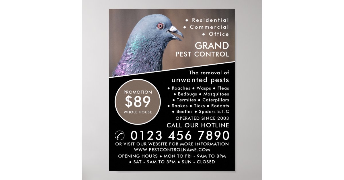 Wood Pigeon, Pest Control Advertising Poster | Zazzle