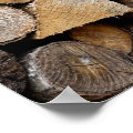 Wood Pile Poster | Zazzle