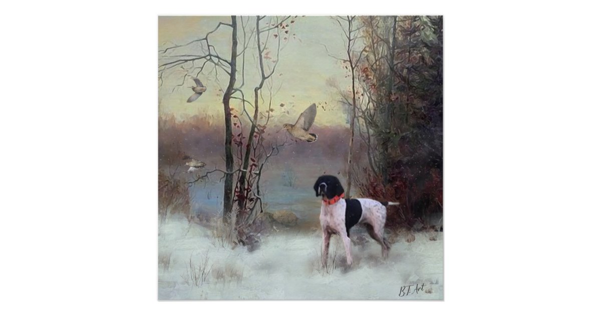 Woodcock Hunting with GSP Poster | Zazzle