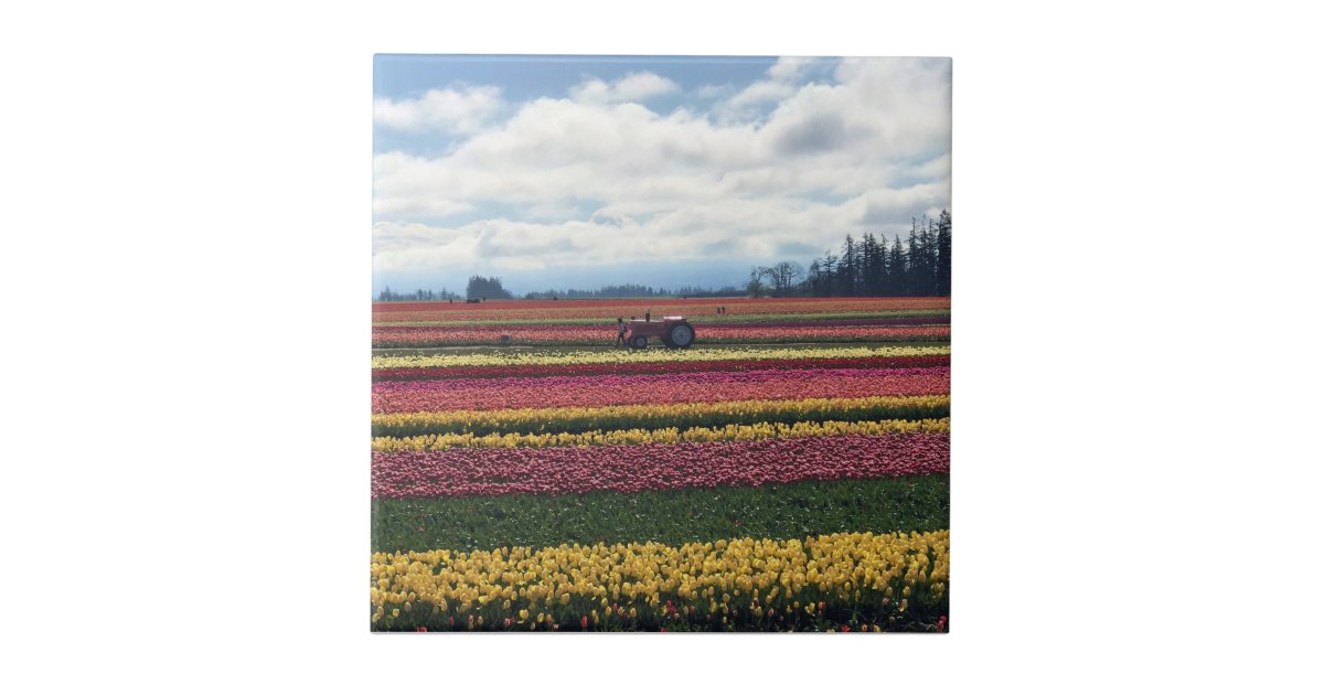 Wooden Shoe Tulip Farm, Woodburn, Oregon Ceramic Tile | Zazzle