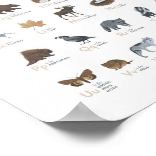 Woodland Alphabet Animal ABC Nursery Decor | Zazzle