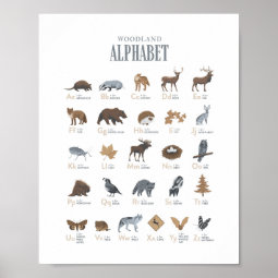 Woodland Alphabet Animal ABC Nursery Decor | Zazzle