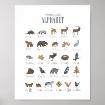 Woodland Alphabet Animal ABC Nursery Decor | Zazzle
