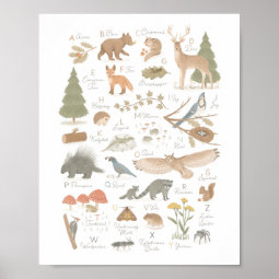 Woodland Animal Alphabet ABC Kids Room Decor | Zazzle