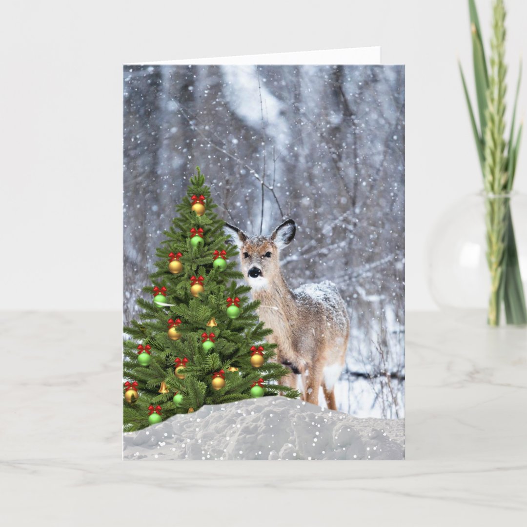 Woodland Christmas Whitetail Deer Greeting Card | Zazzle