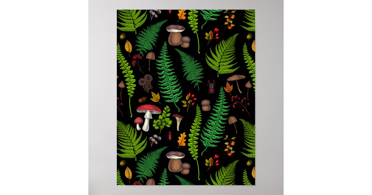 Woodland flora and fauna poster | Zazzle
