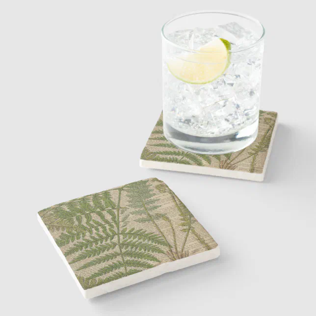woodland foliage french botanical print fern stone coaster | Zazzle